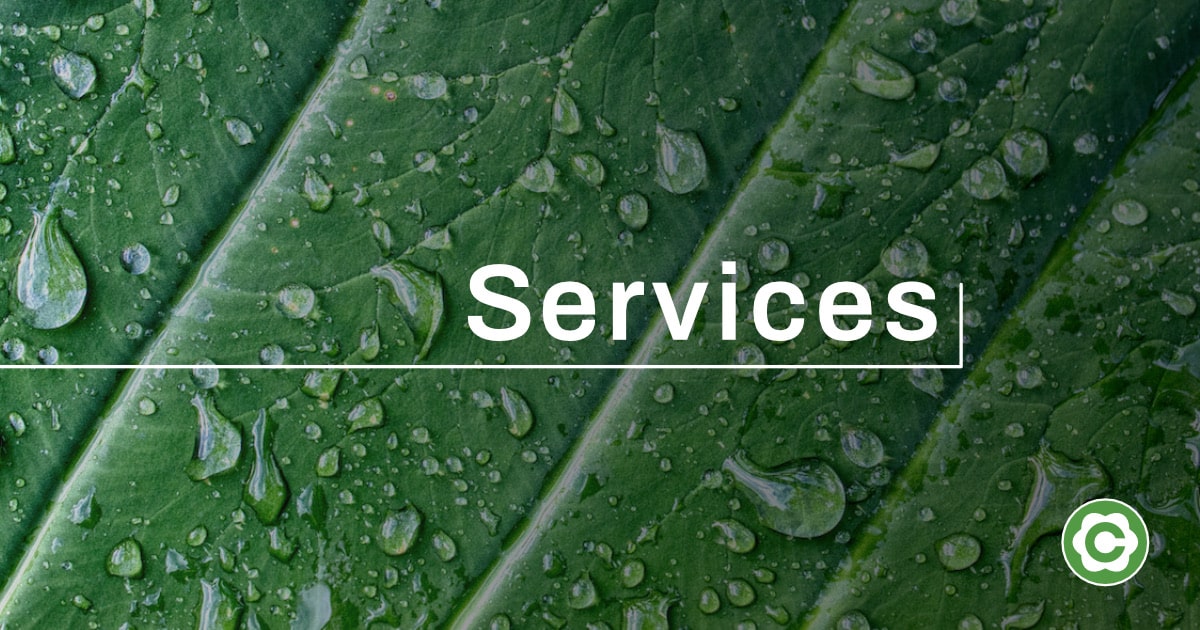 Services | Click Nurturing